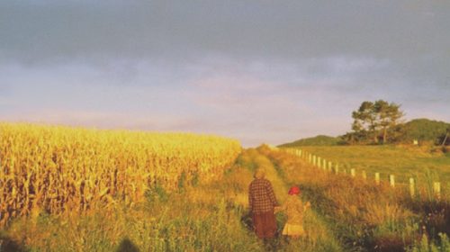 Observations on film art : National cinemas: New Zealand